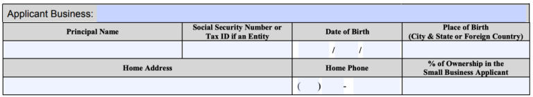 SBA Form 1919: Step-by-Step Application Guide | LendingTree