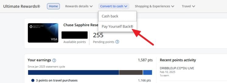 Chase Pay Yourself Back 2025 Program Guide