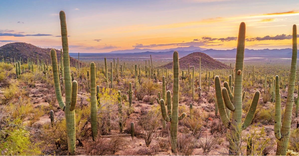 Arizona Debt Relief Options | LendingTree